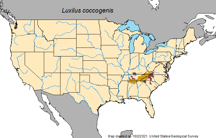 Freshwater Fish | Mountains to Marsh