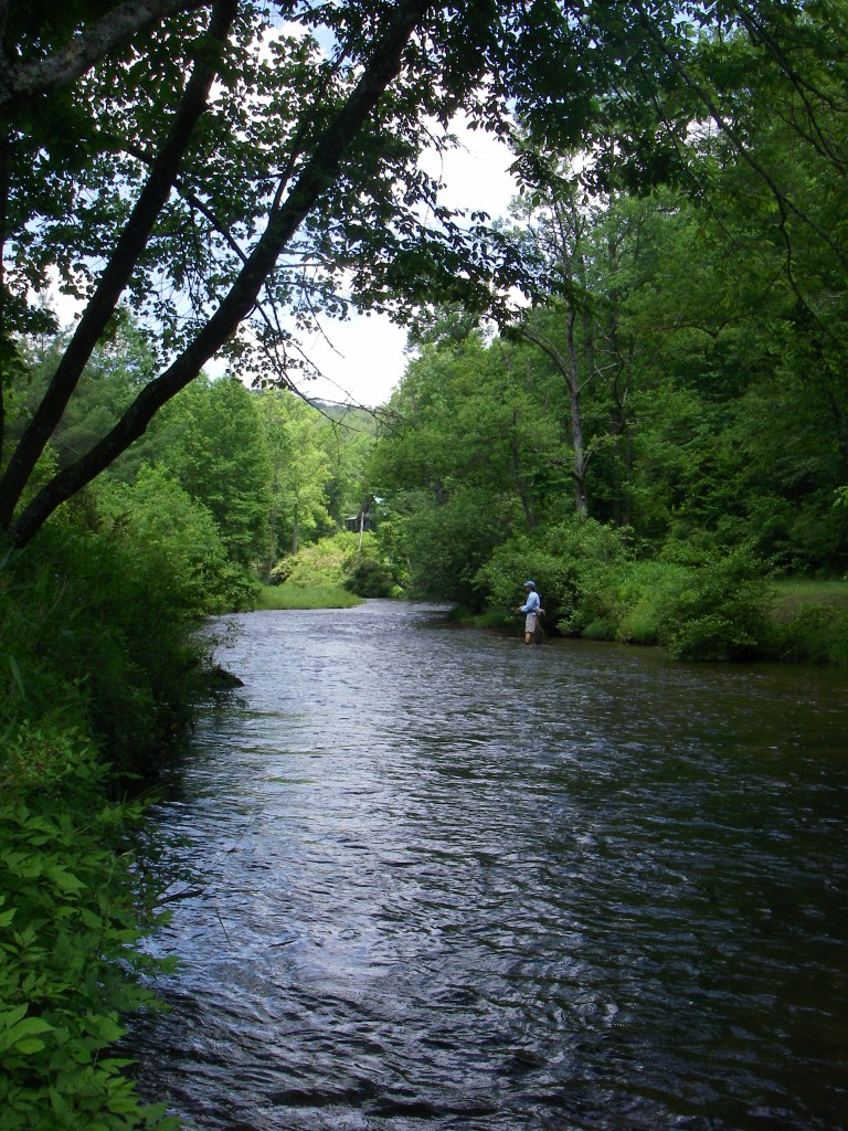 North Georgia trip recap – Day 1 | Mountains to Marsh