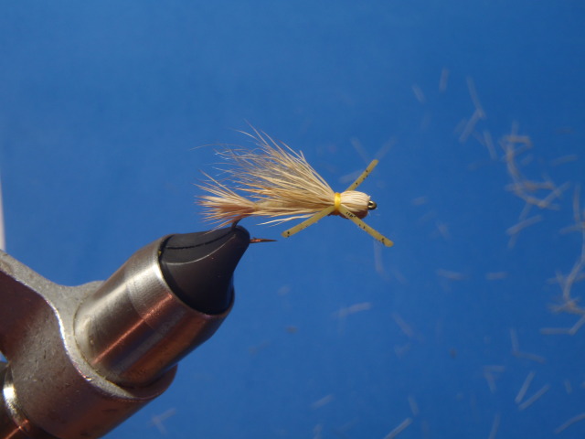 Madam X variant | Mountains to Marsh