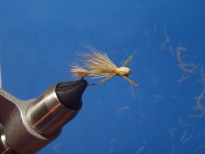 Madam X variant | Mountains to Marsh