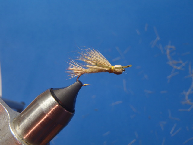 Madam X variant | Mountains to Marsh