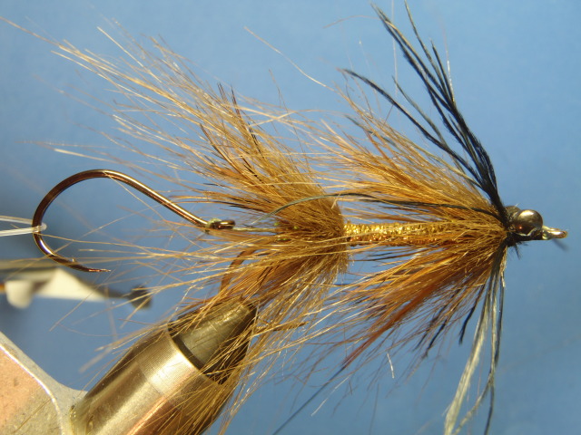 The Redfish Intruder | Mountains to Marsh