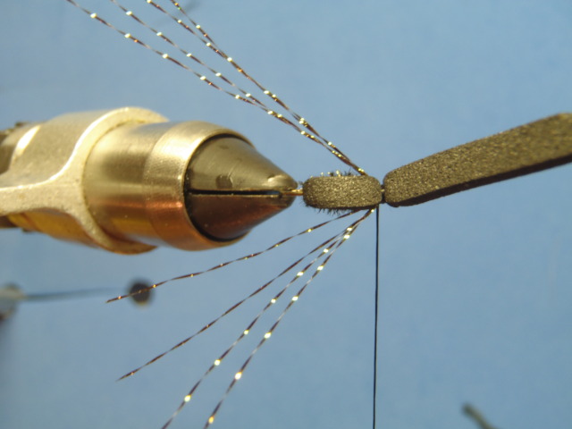 The Veetle SBS | Mountains to Marsh