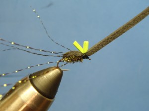 The Veetle SBS | Mountains to Marsh