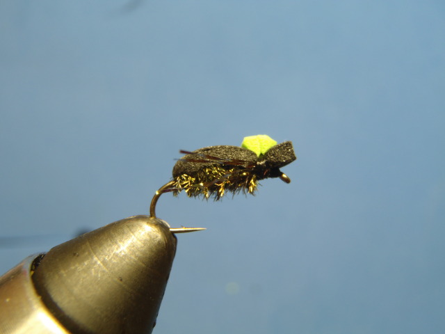 The Veetle SBS | Mountains to Marsh