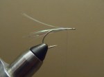 Articulated Crease Fly SBS | Mountains to Marsh