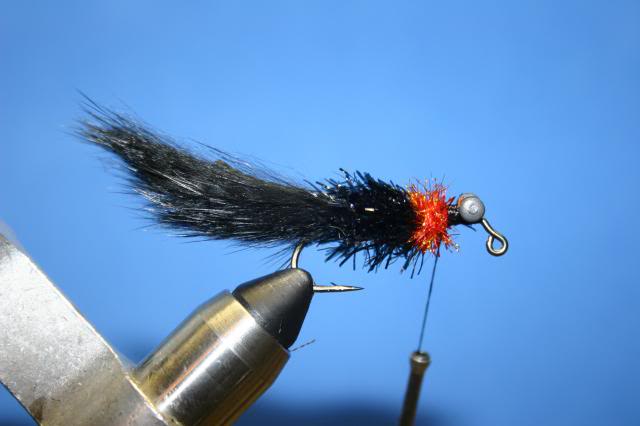 Bass Bully variant | Mountains to Marsh