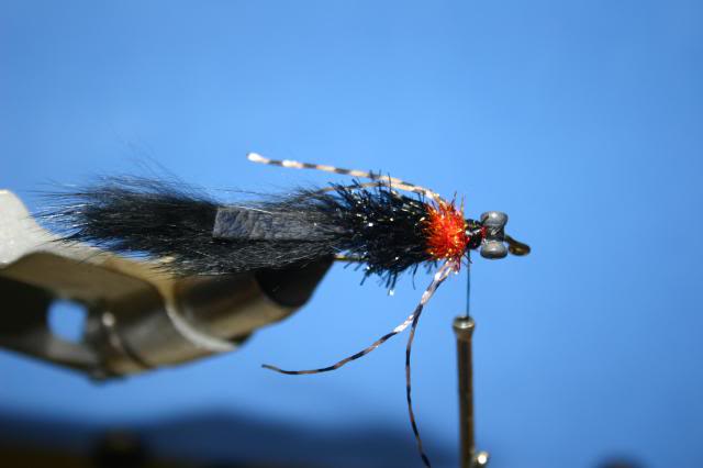 Bass Bully variant | Mountains to Marsh