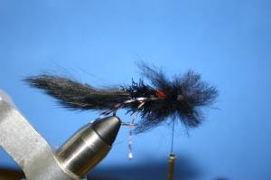 Bass Bully variant | Mountains to Marsh