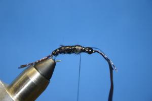 CC Stonefly SBS | Mountains to Marsh