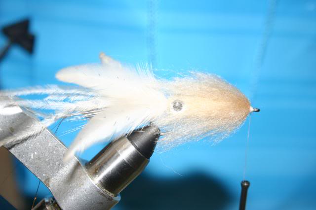 Blake’s squid fly | Mountains to Marsh