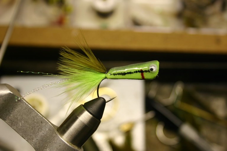 The fly rod spotted bass record revisited | Mountains to Marsh