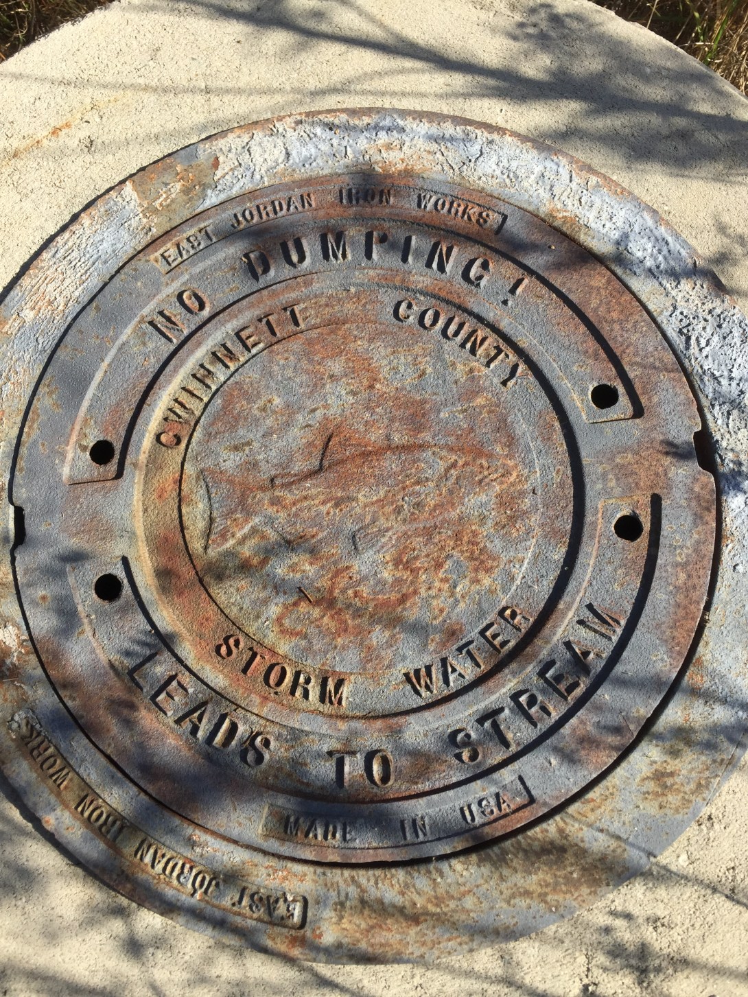 Manhole cover fish art | Mountains to Marsh