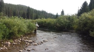 Wyoming Cutt Slam Trip – Day 2 | Mountains to Marsh