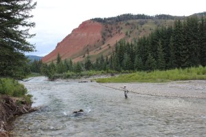 Wyoming Cutt Slam Trip – Day 4 | Mountains to Marsh