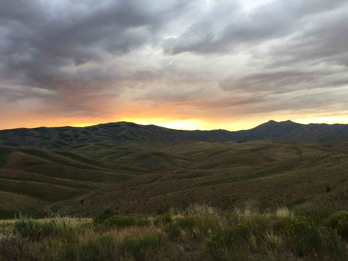 Utah Cutt Slam Trip – Day 1 | Mountains to Marsh