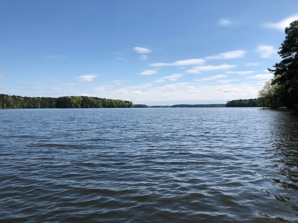 Caney Lake | Mountains to Marsh
