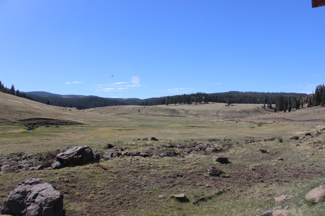 The Search for Apache Trout | Mountains to Marsh