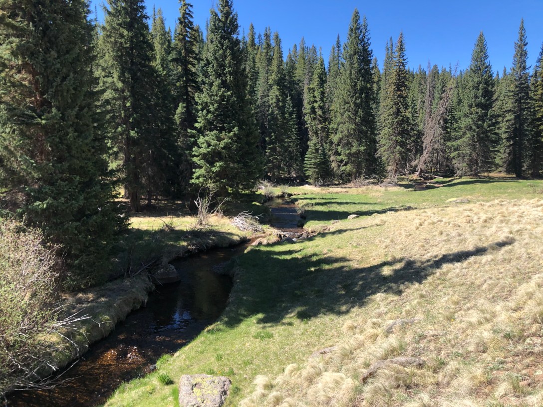 Arizona Apache Trout Continued | Mountains to Marsh
