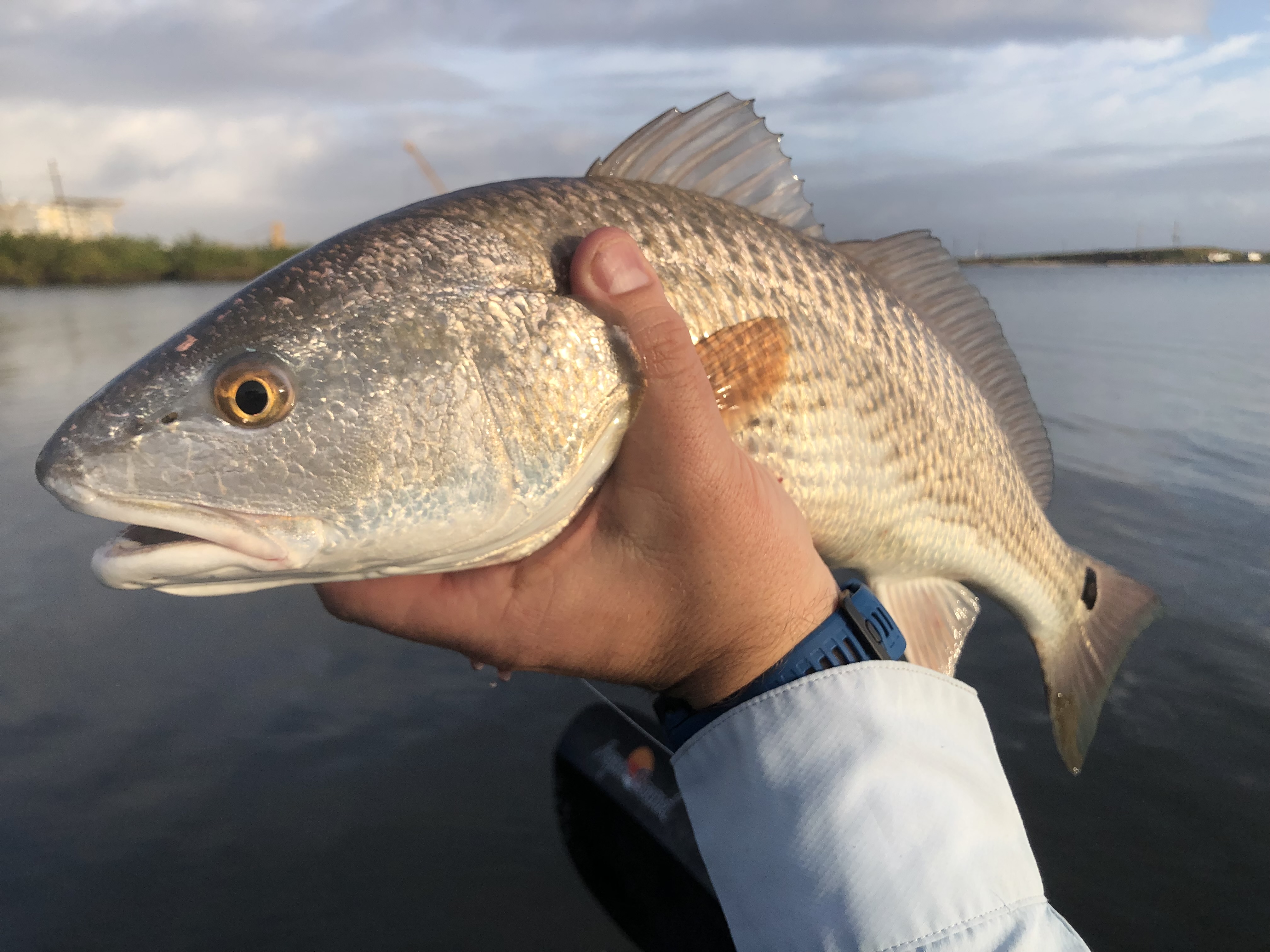 Gear Review | Mountains to Marsh