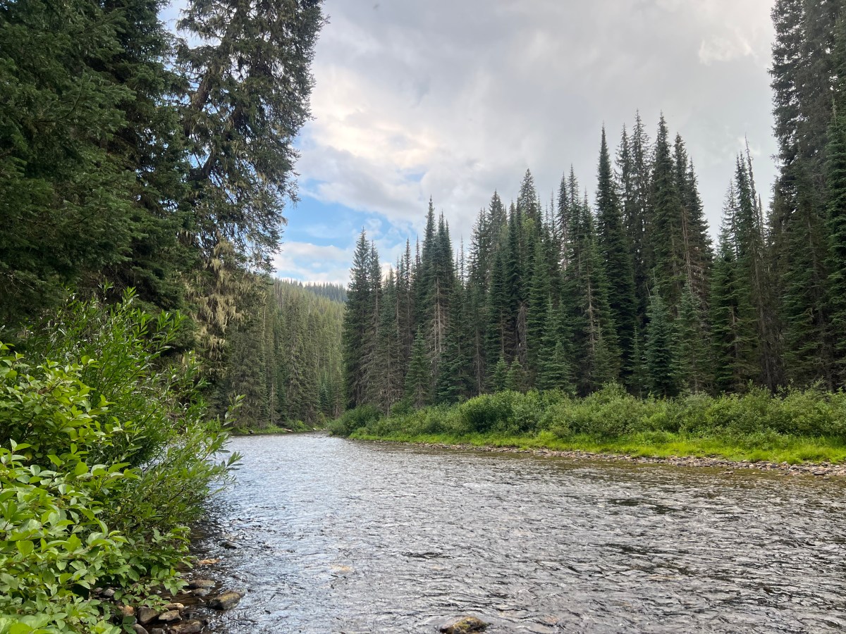 A Trip to Northern Idaho | Mountains to Marsh